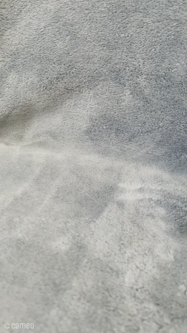 Squid the Griff for Katie | Cameo