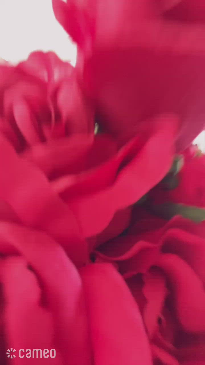Cameo video by Robert Kelly | Cameo