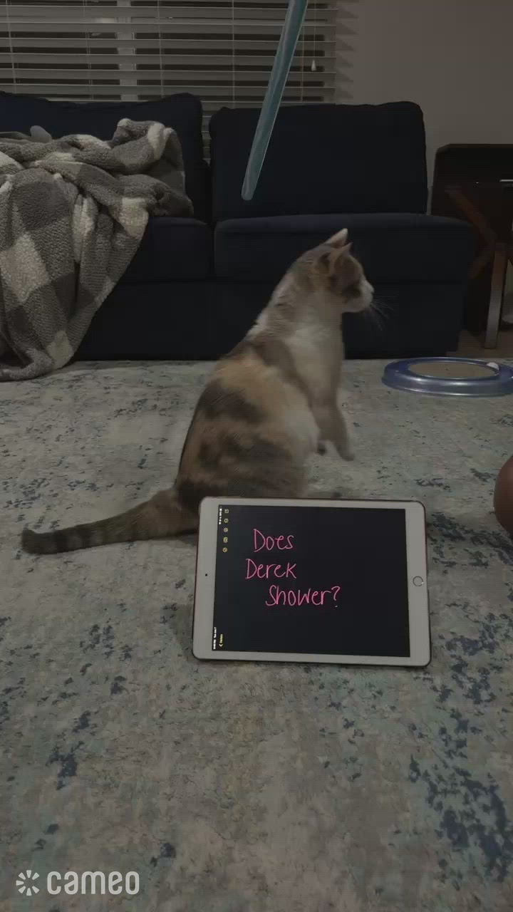 Cameo by Panko Cat | Cameo