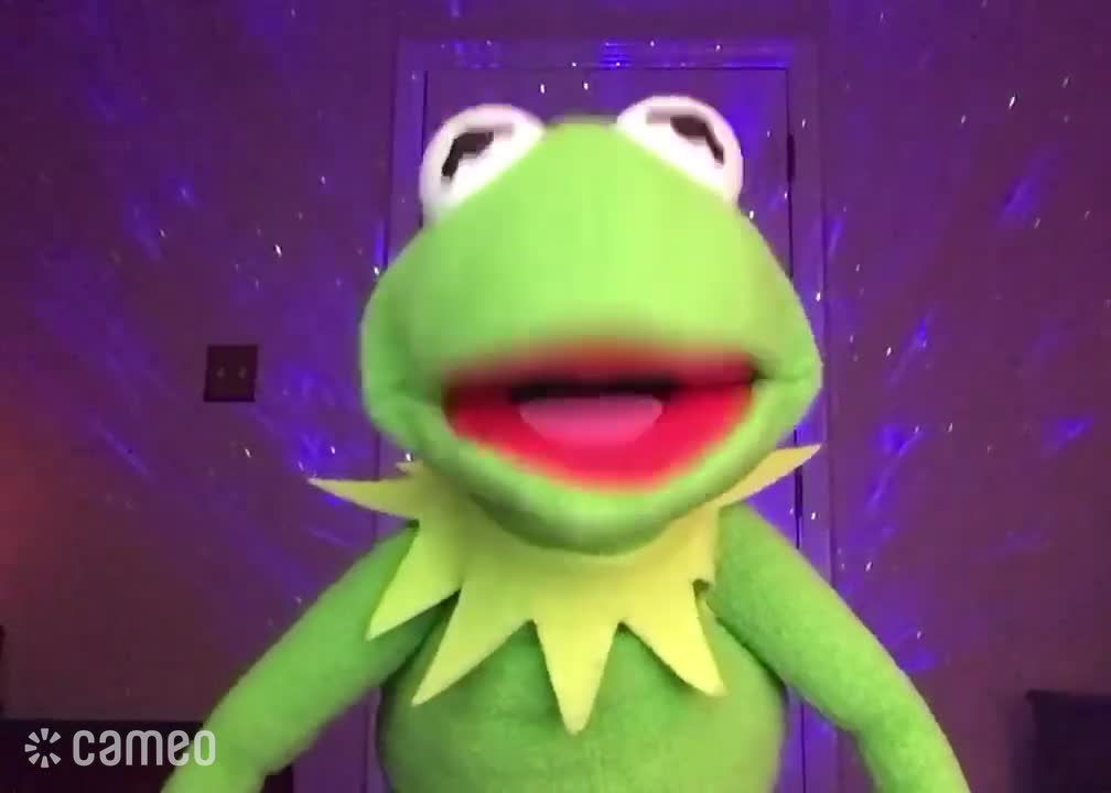 Kermit Impressionist for Holy Angels Grade School Class of 1973 | Cameo
