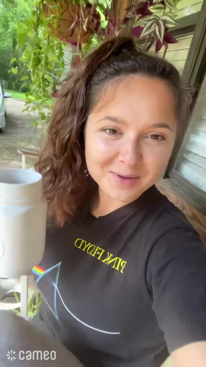 Cameo by Cheyenne Pickle Wheat | Cameo