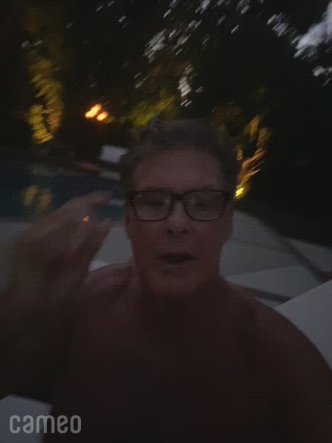 David Hasselhoff for James | Cameo