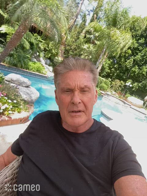David Hasselhoff for Dave McCarthy | Cameo