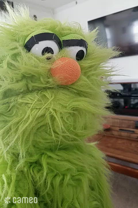 Steve the Puppet for Harrison and Conner | Cameo