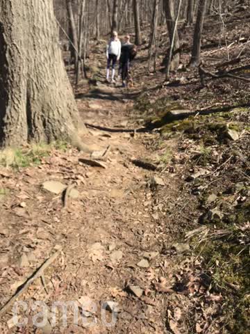 Chester the Good Boy for Everyone | Cameo