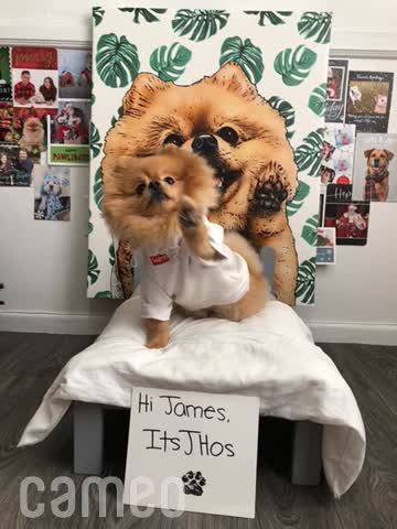 Hi_im_Chewie for James | Cameo