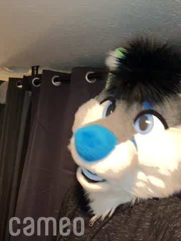 Kiwi Fox for Intro Yourself | Cameo