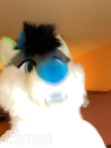 Kiwi Fox for Eliza | Cameo