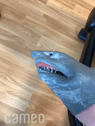 Shark Puppet for Sandra | Cameo