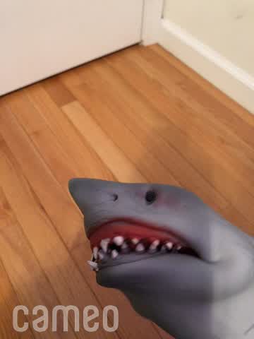 Shark Puppet for tory ferry | Cameo