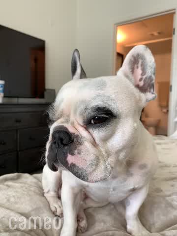 Walter Geoffrey for Sunny | Cameo