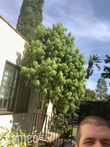 Perez Hilton for Kyle | Cameo