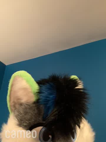 Kiwi Fox for Koma Werewolf | Cameo