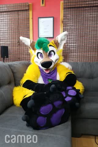 Pineapple Fox for Intro Yourself | Cameo
