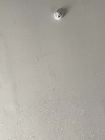 Cameo by Verbal Ase | Cameo