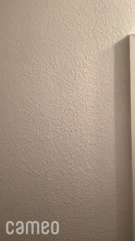 Cameo by Verbal Ase | Cameo