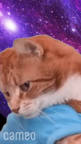 Cameo by Keyboard Cat | Cameo